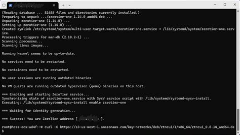 浅谈如何搭建一个完全私有化的zerotier 哔哩哔哩