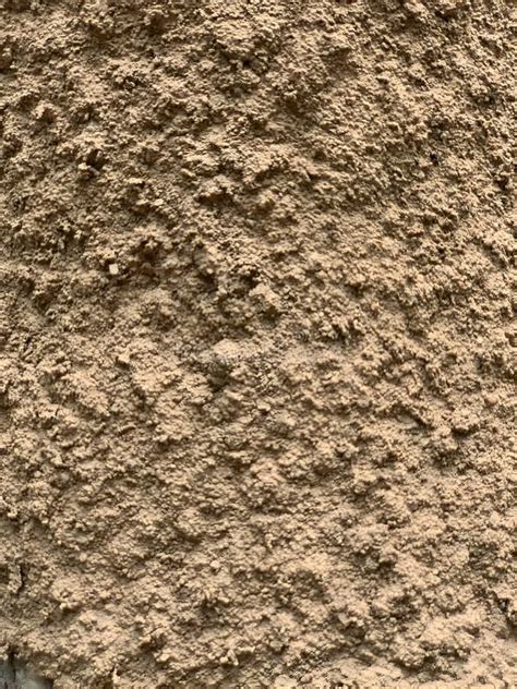Different Types Of Bark Use It As A Beautiful Background Stock Image Image Of Colorful