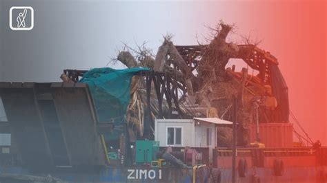 ივანიშვილის აფრიკული ბაობაბები უკვე შეკვეთილშია Youtube