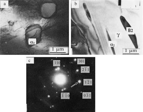 tem micrographs of the alloy ti 48al 2mo solution treated and aged at