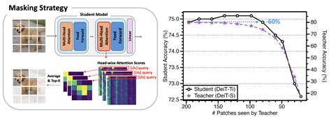 The Role Of Masking For Efficient Supervised Knowledge Distillation Of