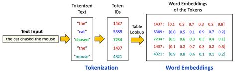 Tokenization And Word Embeddings The Building Blocks Of Advanced Nlp By Lm Po Medium