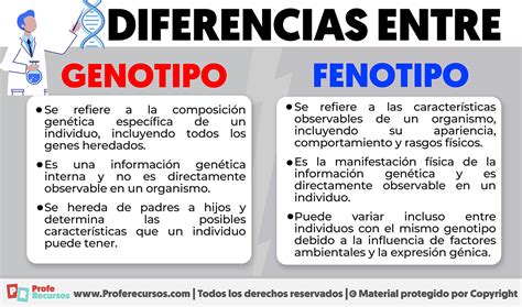 Diferencias Entre Genotipo Y Fenotipo