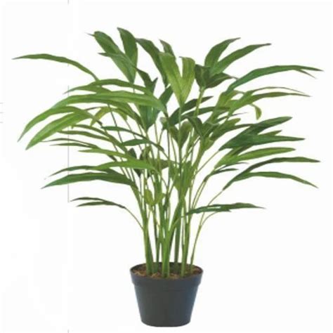 Mini Coco Plant At ₹ 1200piece Decorative Artificial Plant In