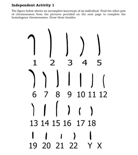 Independent Activity 1 The Figure Below Shows StudyX