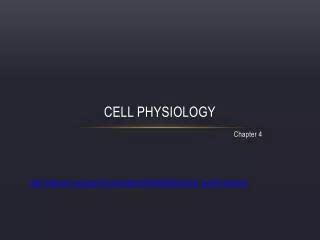 PPT CELL PHYSIOLOGY PowerPoint Presentation Free Download ID 11568506