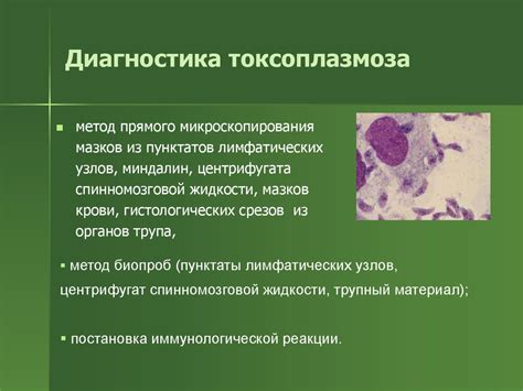 Медицинская паразитология Паразитические простейшие презентация онлайн