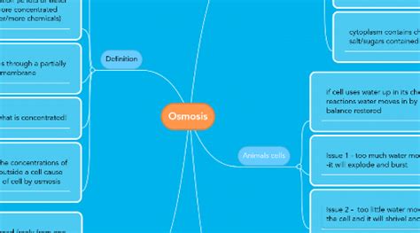 Osmosis MindMeister Mind Map