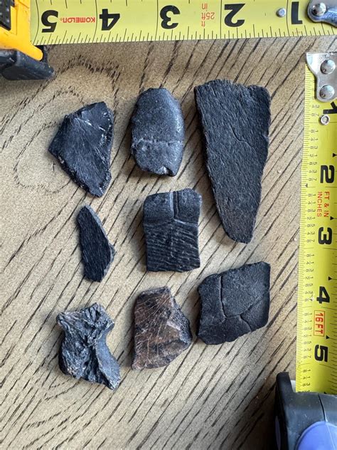 8 turtle shell and other bone fragment fossils naturally sourced on