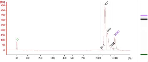 Characterization Of R Loop Structures Using Single Molecule R Loop Footprinting And Sequencing