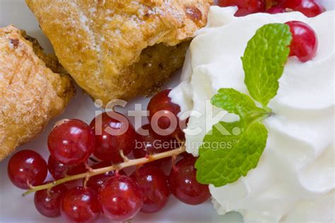 박제 퍼프 페이스 트리 스톡 사진 Freeimages