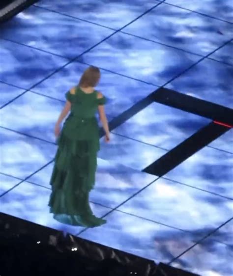 Taylor Swifts Stage Dive Secret Revealed