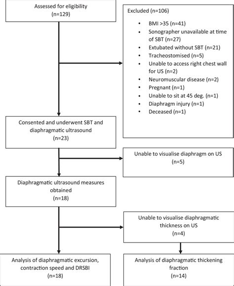 flow diagram of assessment exclusion data collection and analysis