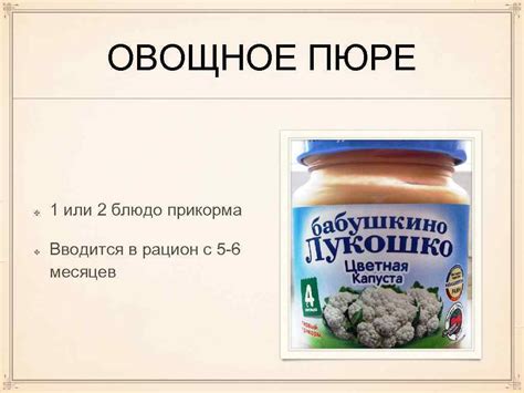 ПРИНЦИПЫ ОРГАНИЗАЦИИ ПРИКОРМА Прикорм — пищевые продукты