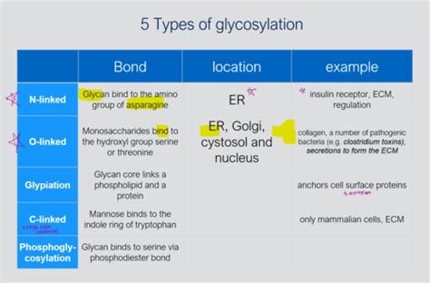 Bms Lecture 2 Post Translational Modification Flashcards Quizlet