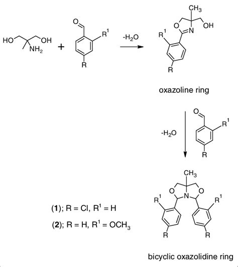 Illustrates The Distribution Pattern Of The Frontier Molecular