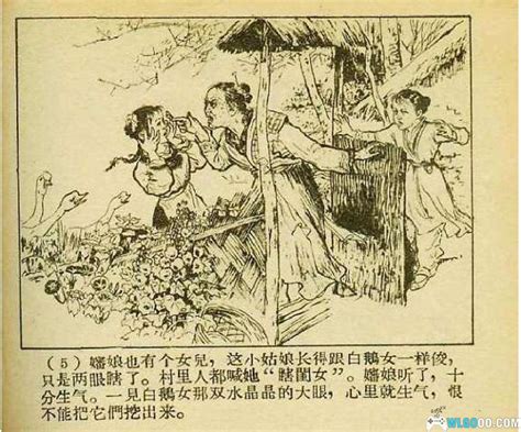 野葡萄 1957年 童话《白鹅女》改编连环画 围炉go
