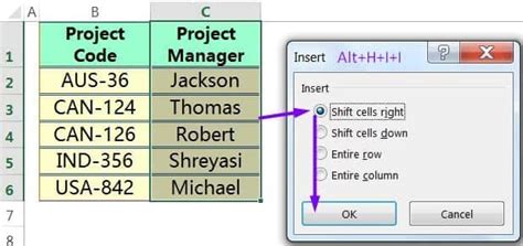 04 Ways How To Insert Multiple Rowscolumnscells In Excel
