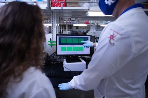 Online Version Algorithm Helps To Detect Ramp Sequences Of RNA Study Finds