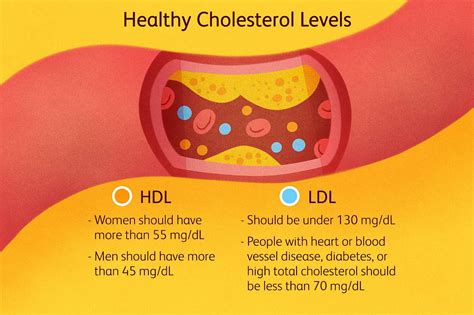 Unveiling The Secrets To Boosting Hdl Cholesterol A Comprehensive Guide By Better Health