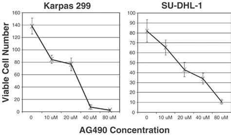 A Concentration Dependent Decrease In The Number Of Viable Cells Was