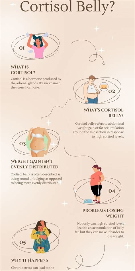 What Is Cortisol Belly Supplements For Cortisol Belly How To Lower