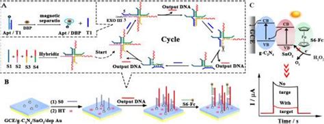 Ultrasensitive Photoelectrochemical Biosensor Amplified By Target
