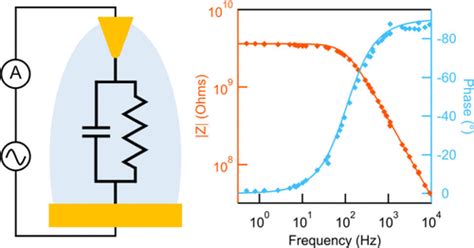 Impact Of Solvent Electrostatic Environment On Molecular Junctions