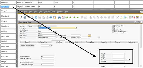 Oitm Fields Sweight2 And Swght2unit Sap Community