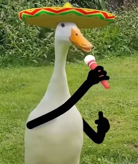 Illia Skaryna Medium