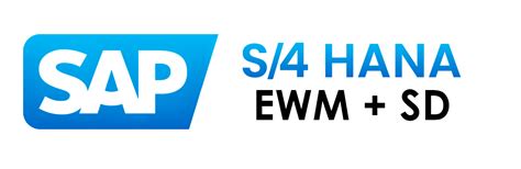 Sap S4 Hana Logística Ewm And Sd