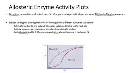 Lec 8 Enzyme Regulation Flashcards Quizlet