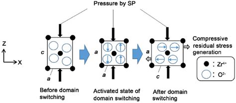 Schematic Diagram Of Ferroelastic Domain Switching By Sp Note That The