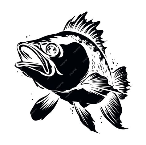Premium Vector Sea Bass Silhouette On White Background