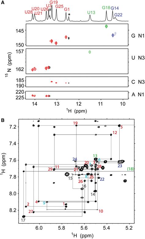 Nmr Evidence For A Single Pre Organized Rna Aptamer Conformation A Download Scientific