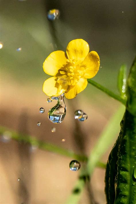 Photography Talk Exposure Triangle Shutter Speed White Lynx Photography
