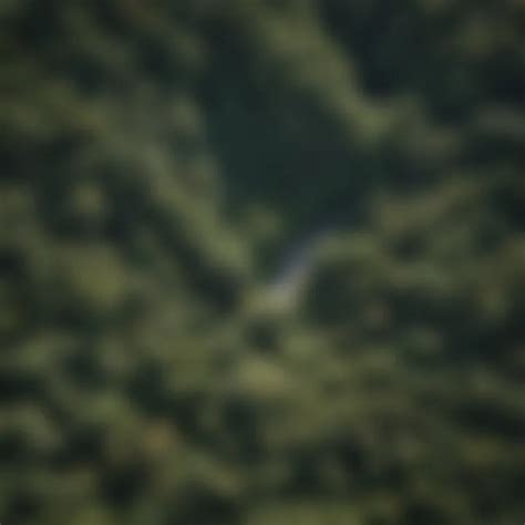 Exploring Lidar Technology In Forest Management