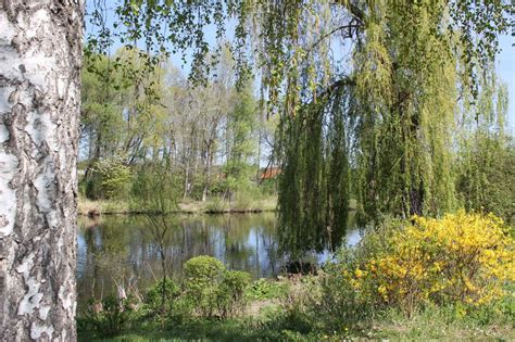 Spring In Nature Online Puzzle