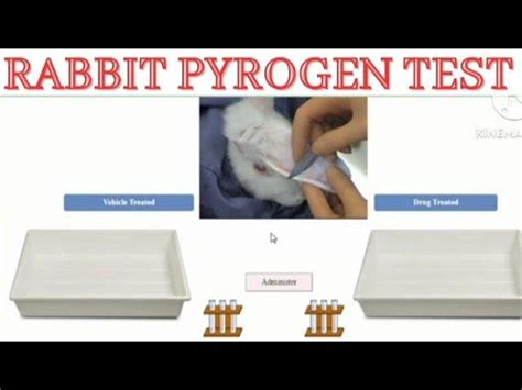 Istak Khan On Linkedin Rabbit Pyrogen Test Pyrogen Test Pyrogen