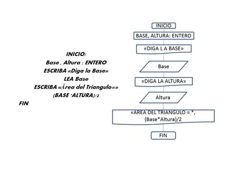 Que Es Pseudocodigo On Emaze