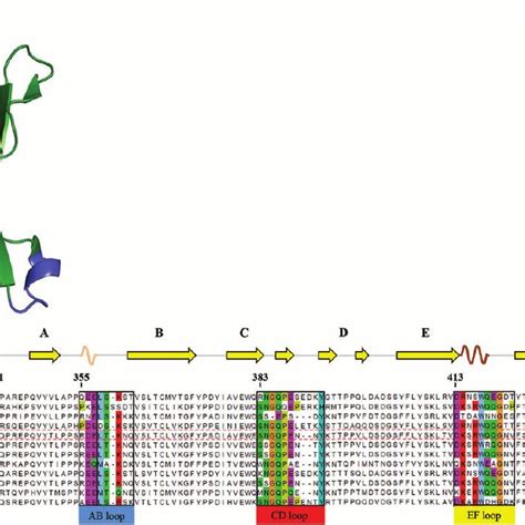 A Crystal Structure Of The Ch3 Domain Of Human Igg1 Pdb Code