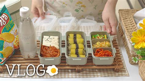 Eng 도시락 만들고 집밥 챙겨먹는 일상🍱 굴솥밥 닭간장조림 당근라페 샌드위치 감자스프 진미채전 참치김치볶음