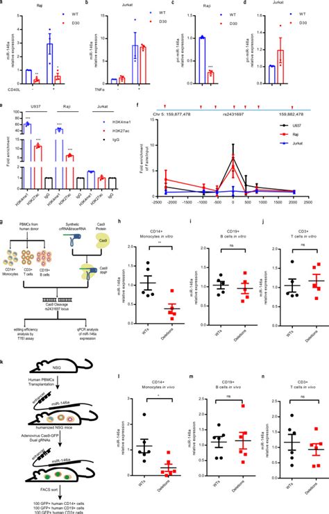 Sle Non Coding Genetic Risk Variant Determines The Epigenetic Dysfunction Of An Immune Cell Sle Non Coding Genetic Risk Variant Determines The Epigenetic Dysfunction Of An Immune Cell