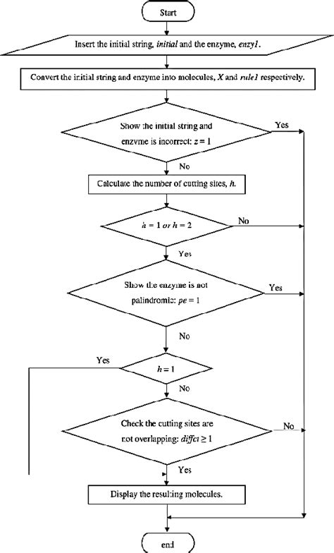 Figure 2 From Computation Of Splicing Languages From Dna Splicing System With One Palindromic