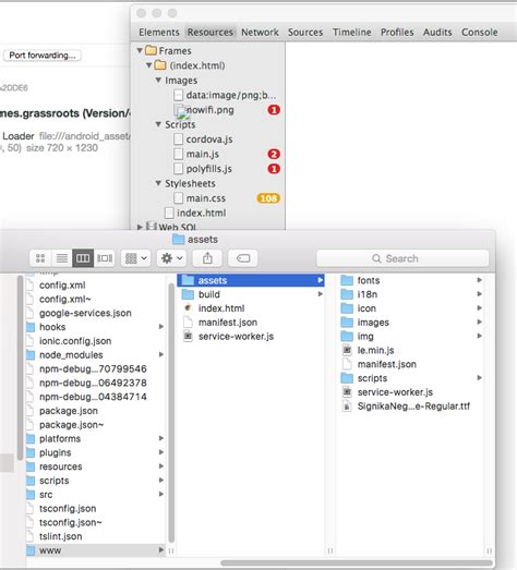 Ionic2 Ionic 2 Rc1 Issue Content In Assets Folder Not Copied In