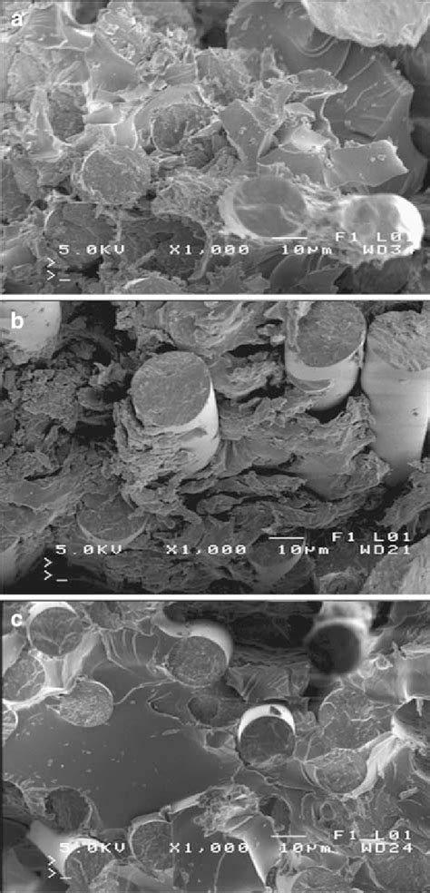 Representative Sem Micrographs Of Fractured Surfaces Of Glassepoxy Download Scientific Diagram
