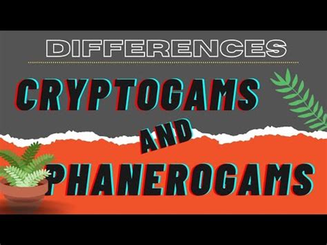 Difference Between Cryptogams And Phanerogams Plantae Kingdom Biology