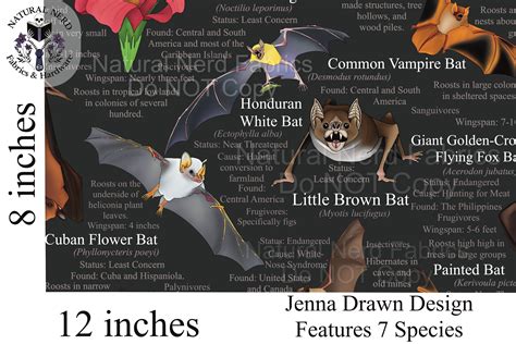 Bat Facts Natural Nerd Fabrics And Hardware