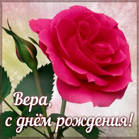 Славная открытка Вере с большой розой на день рождения