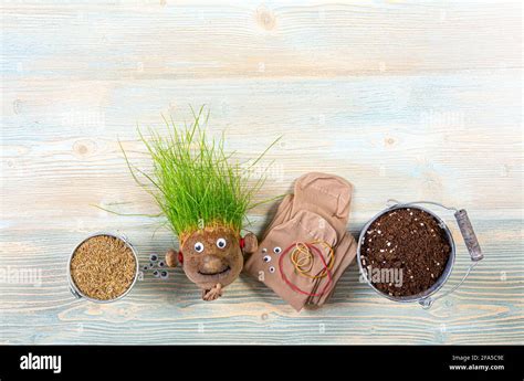 Making Of Cute Homemade Grass Head Toy With Various Supply Tools Grass